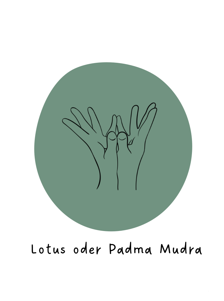 Lotus Mudra oder Padma Mudra Geste der inneren Schönheit * Sunita Ehlers
